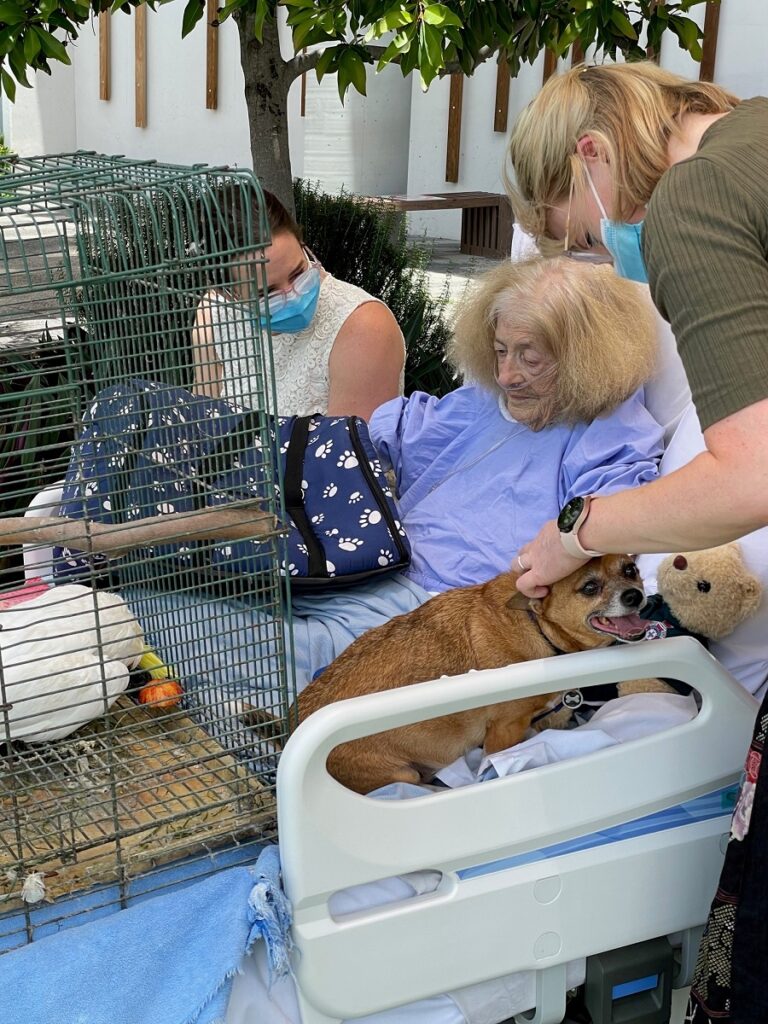 Alice and her pets | Ambulance Wish South Australia