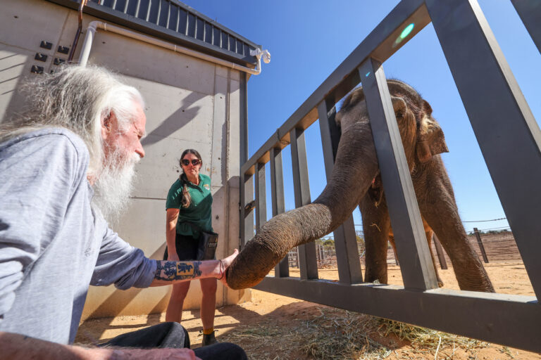Brett’s Ambulance Wish was to go to Monarto Zoo to visit the elephant ...