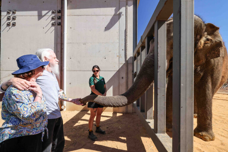 Brett’s Ambulance Wish was to go to Monarto Zoo to visit the elephant ...